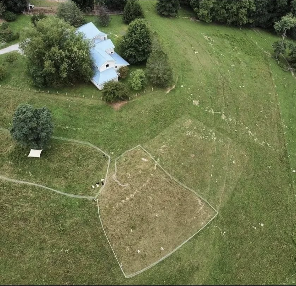Pasture Efficiency with Rotational Grazing — Regenerative Farmers of ...