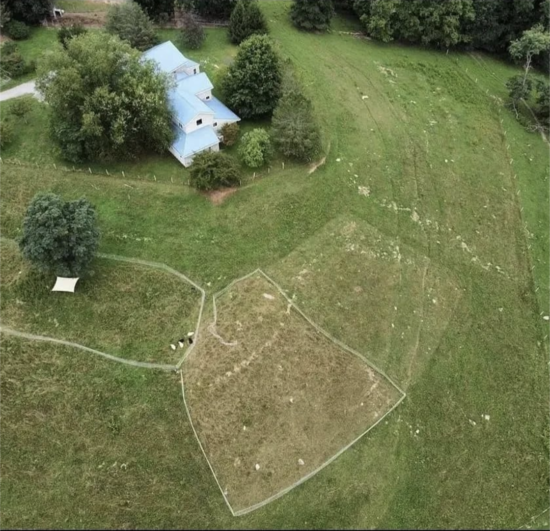 Pasture Efficiency with Rotational Grazing — Regenerative Farmers of ...