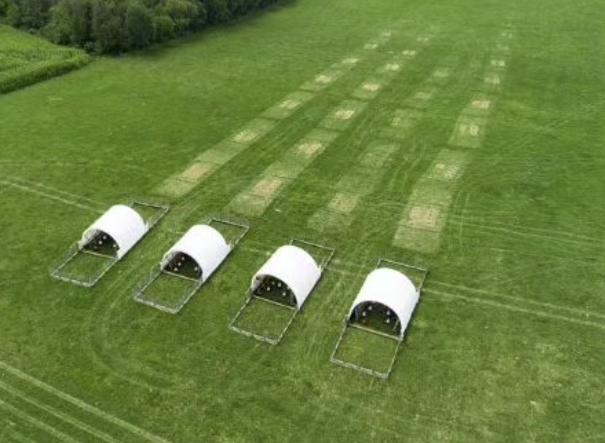 What is Regenerative Chicken Farming? — Regenerative Farmers of America