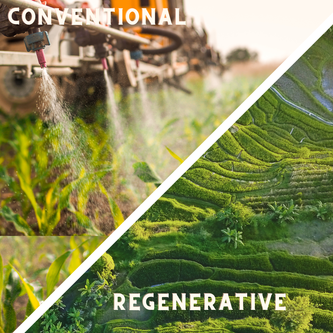 Is the Future of Agriculture Regenerative? — Regenerative Farmers of ...