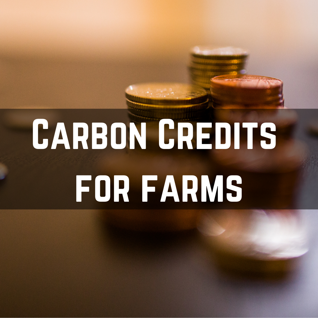 Regenerative Farmer Resources — Regenerative Farmers of America