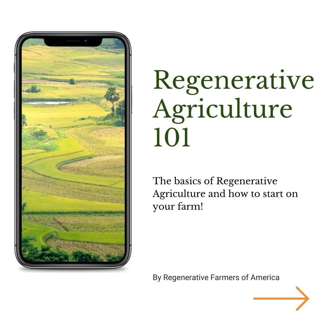 Regenerative Farming — Regenerative Farmers of America