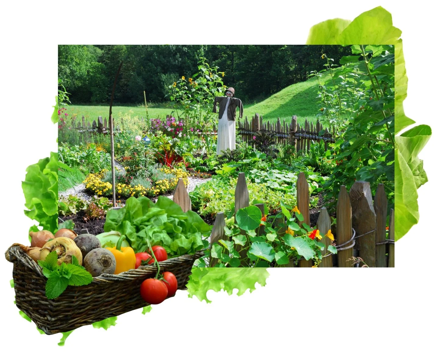 Custom Food Forest Design — Regenerative Farmers of America