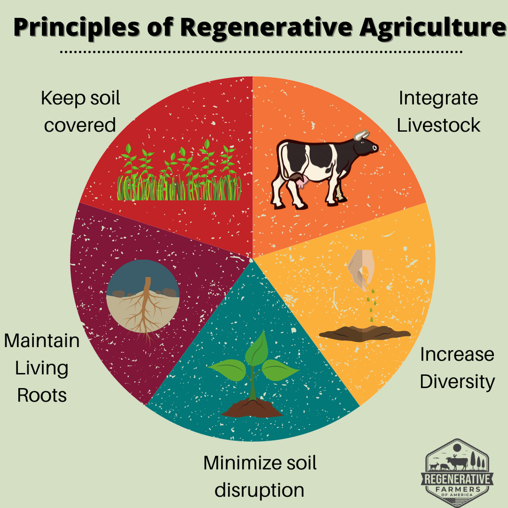 Regenerative Farming — Regenerative Farmers of America
