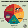 Regenerative Farming — Regenerative Farmers of America