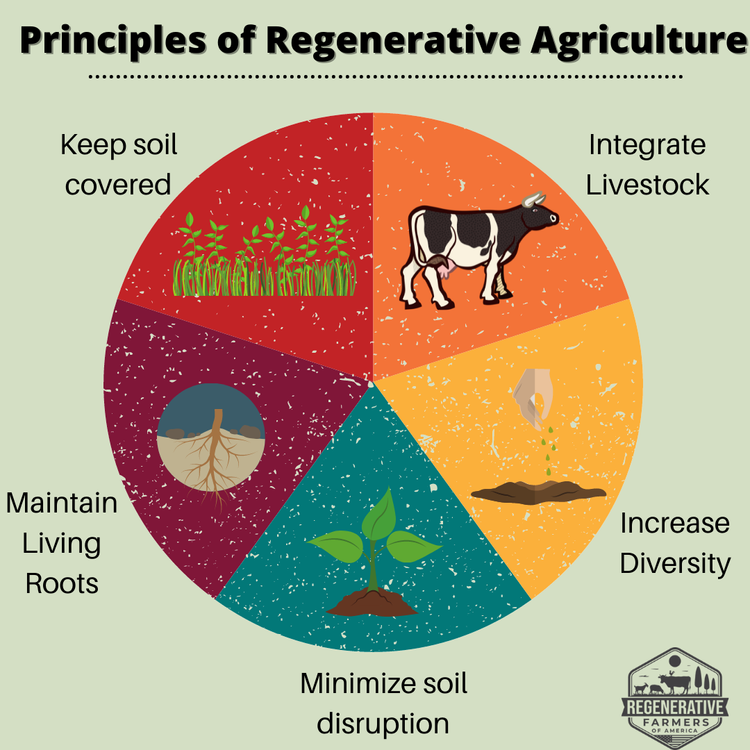 Regenerative Farming — Regenerative Farmers of America
