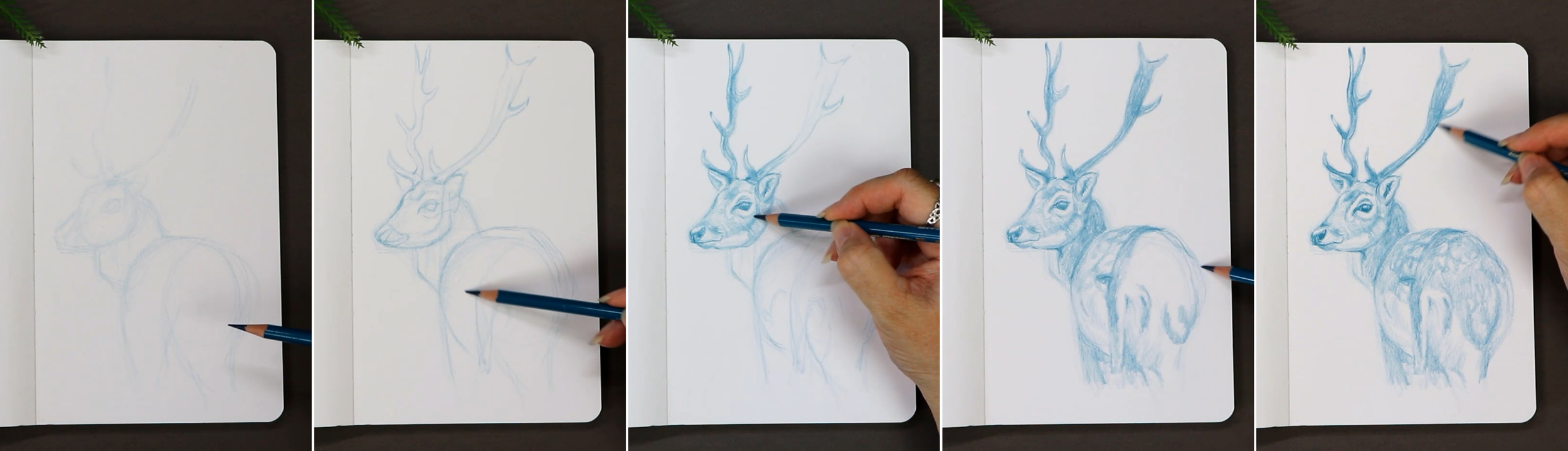 Drawn to Wild: Art Class — Natalie Eslick