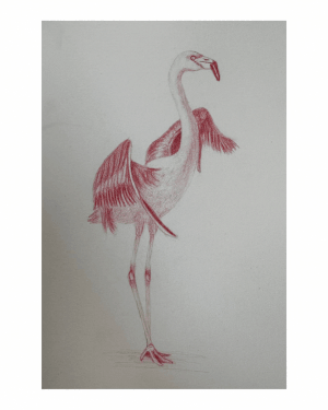 Drawn to Wild: Art Class — Natalie Eslick