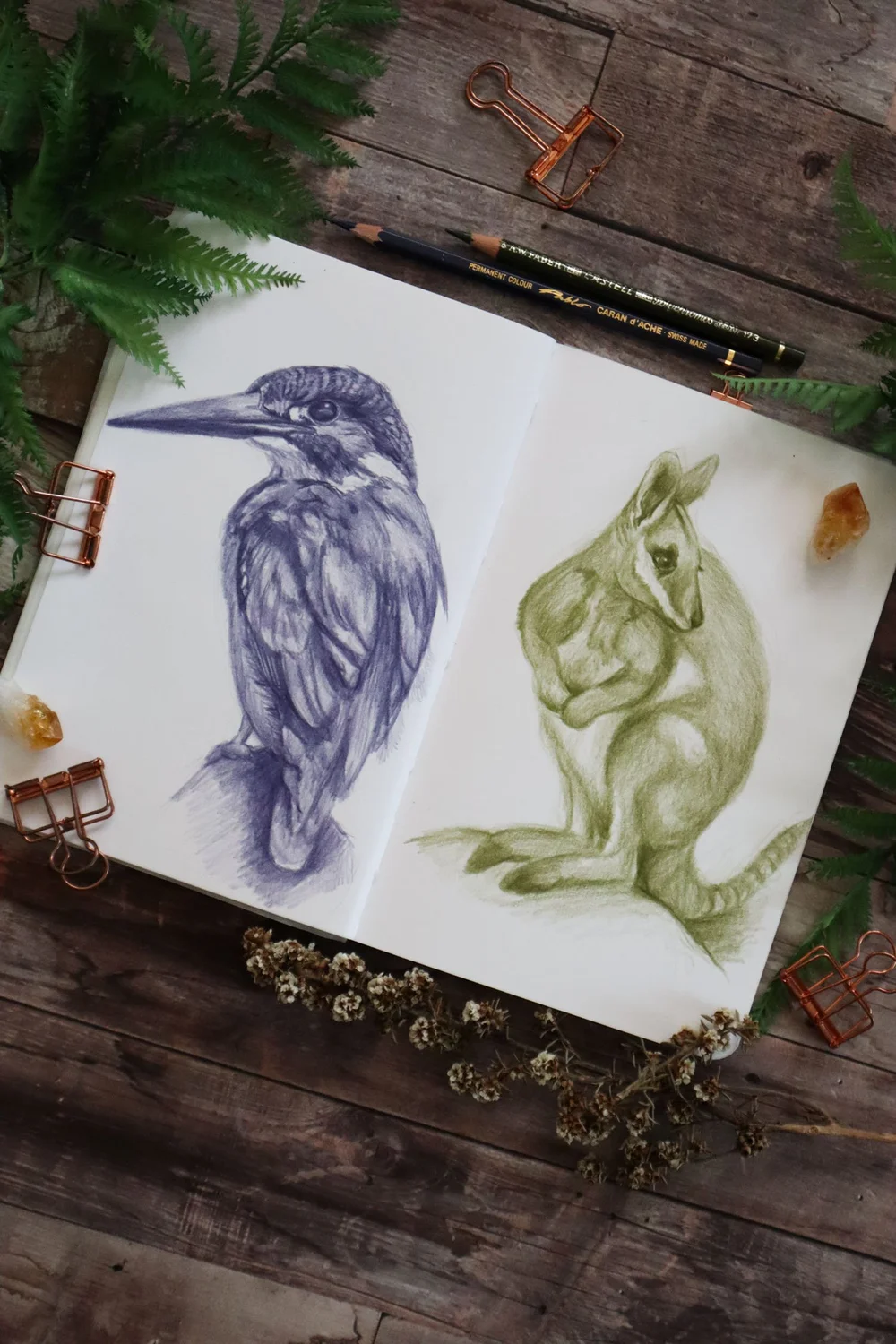 Drawn to Wild: Art Class — Natalie Eslick