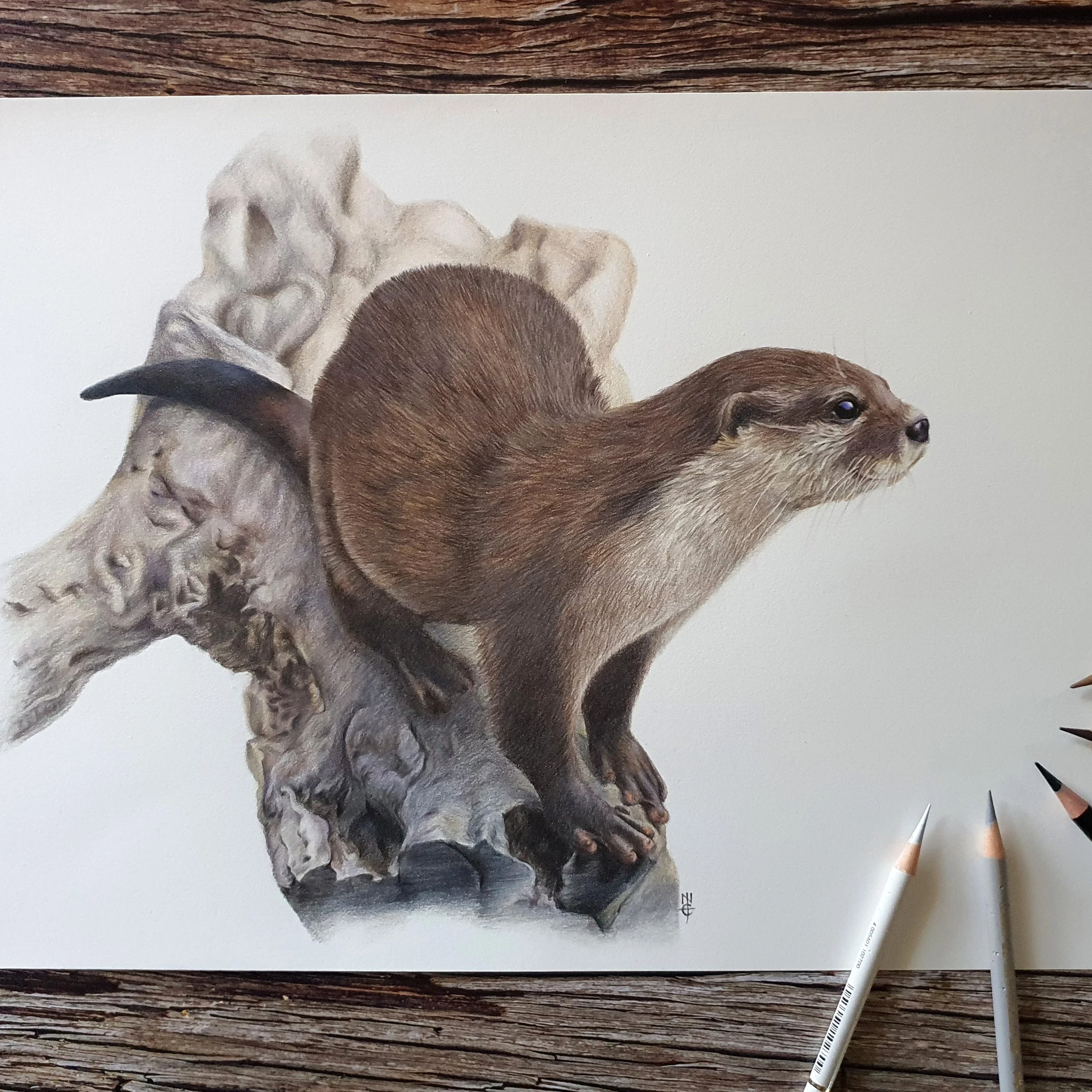 Otter: Realistic Wildlife Tutorial — Natalie Eslick
