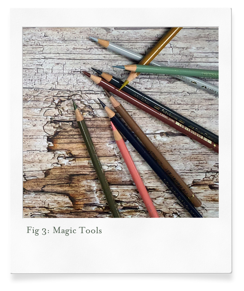 Drawn to Wild: Art Class — Natalie Eslick