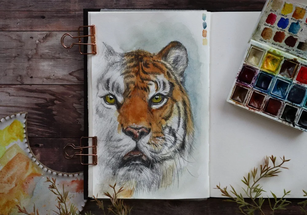 Creating a Tiger Portrait in Watercolour and Graphite | Wildlife Art ...