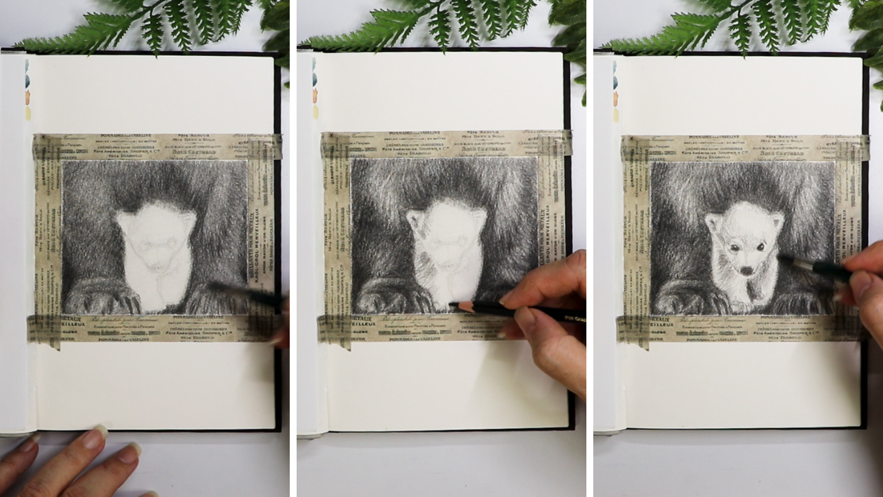 Polar Bear Art: Drawing Wildlife with Compassion on International Polar ...