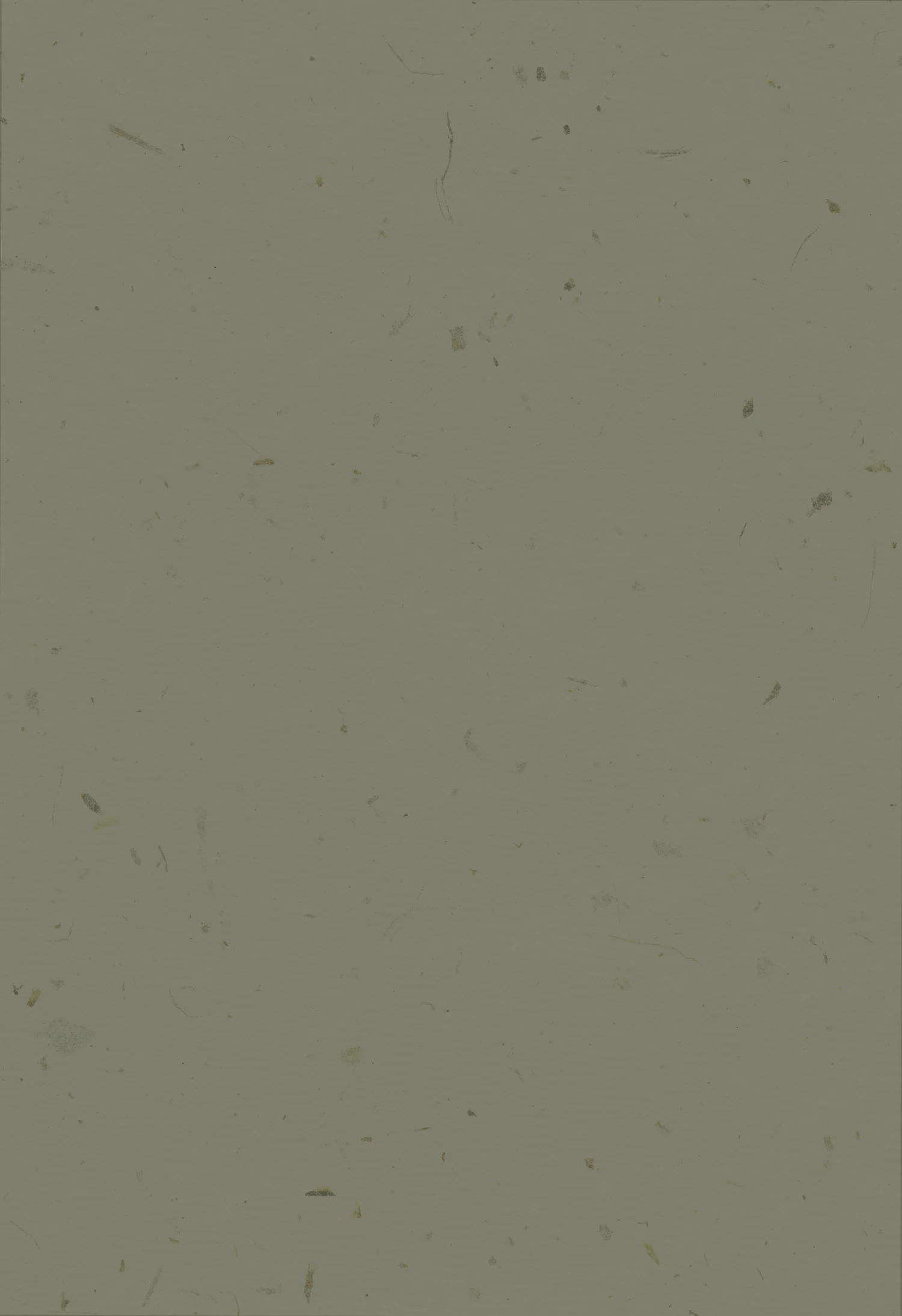 Wander Wonder — Natalie Eslick