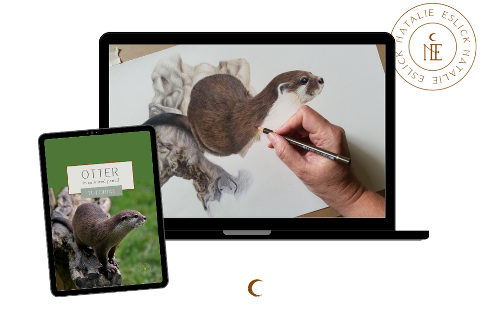 Otter: Realistic Wildlife Tutorial — Natalie Eslick
