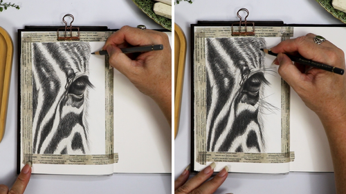 Drawing Wild Eyes: Finding Connection Through Detail | Wildlife Art ...