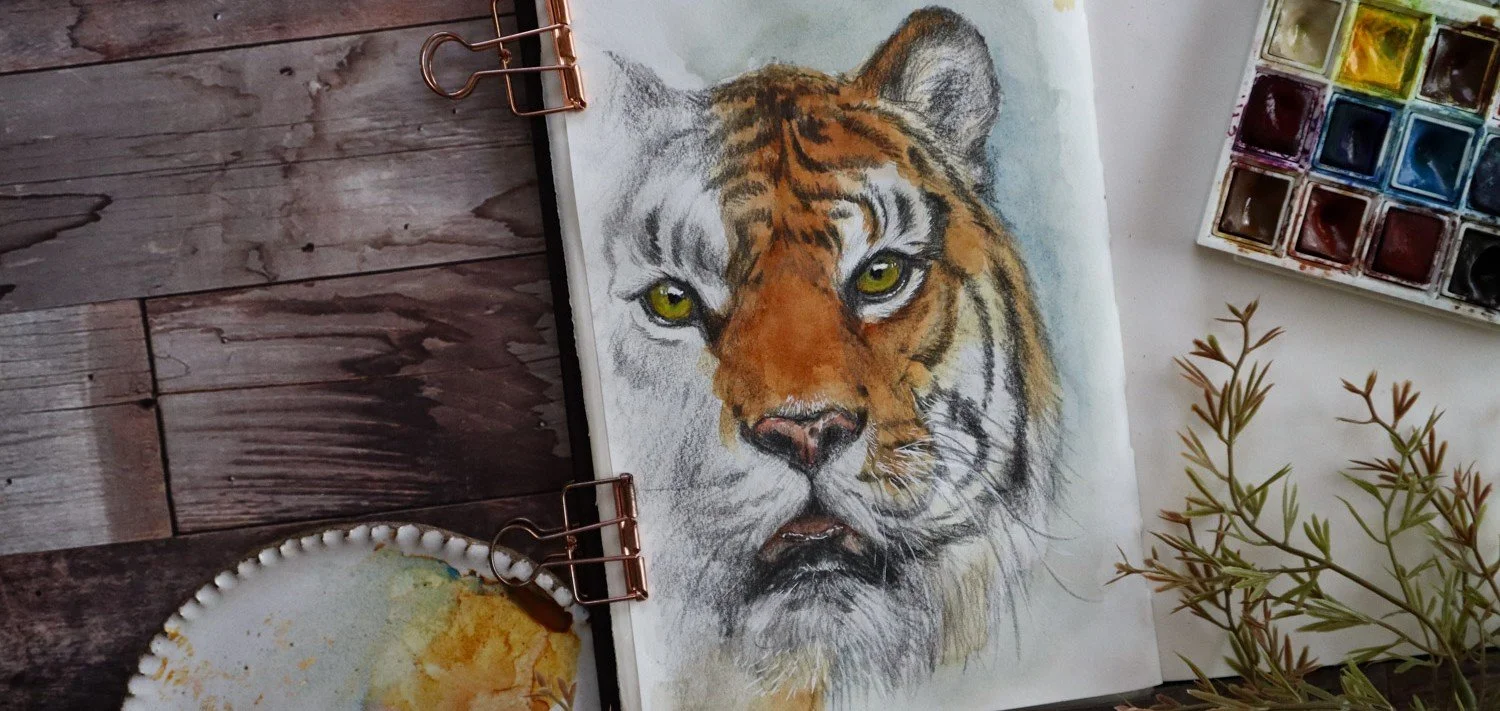 Creating a Tiger Portrait in Watercolour and Graphite | Wildlife Art ...