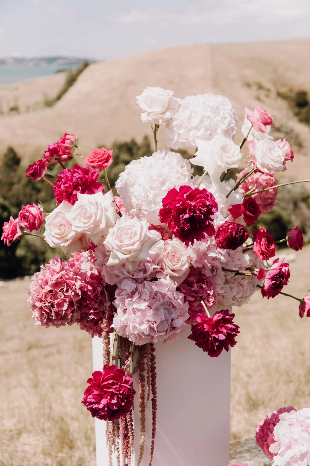 Steph & Fraser — Wild Blooms