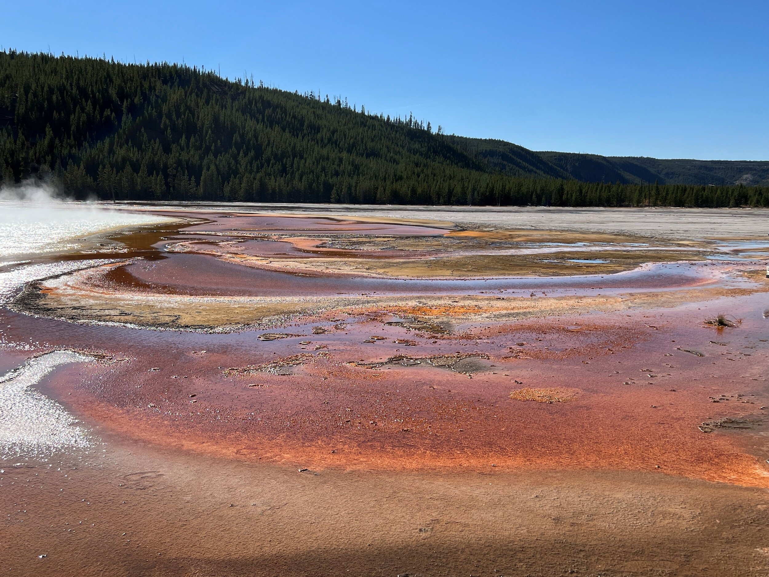 The Grand Daddy Of National Parks ~ Yellowstone — Wandering Veena