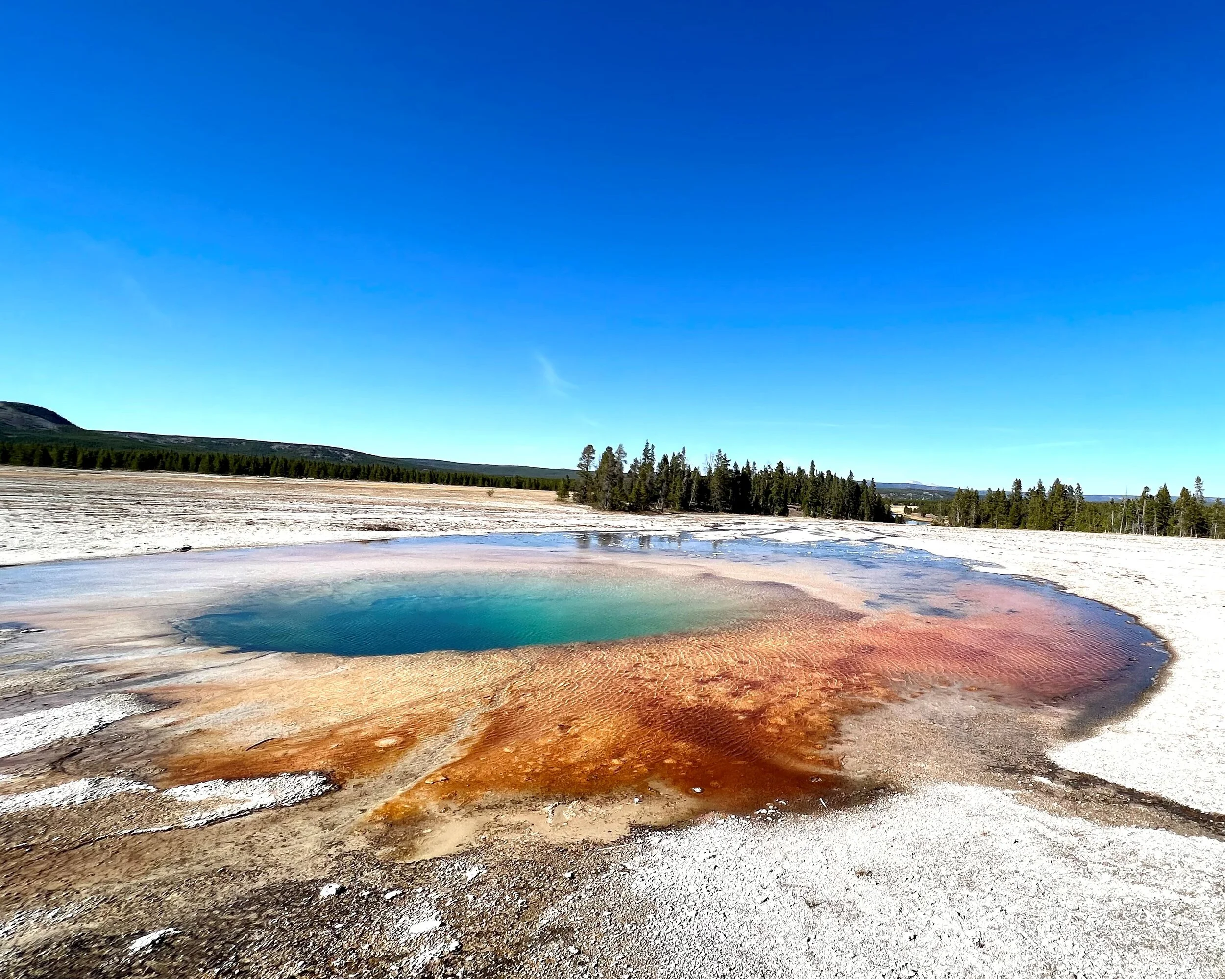 The Grand Daddy Of National Parks ~ Yellowstone — Wandering Veena