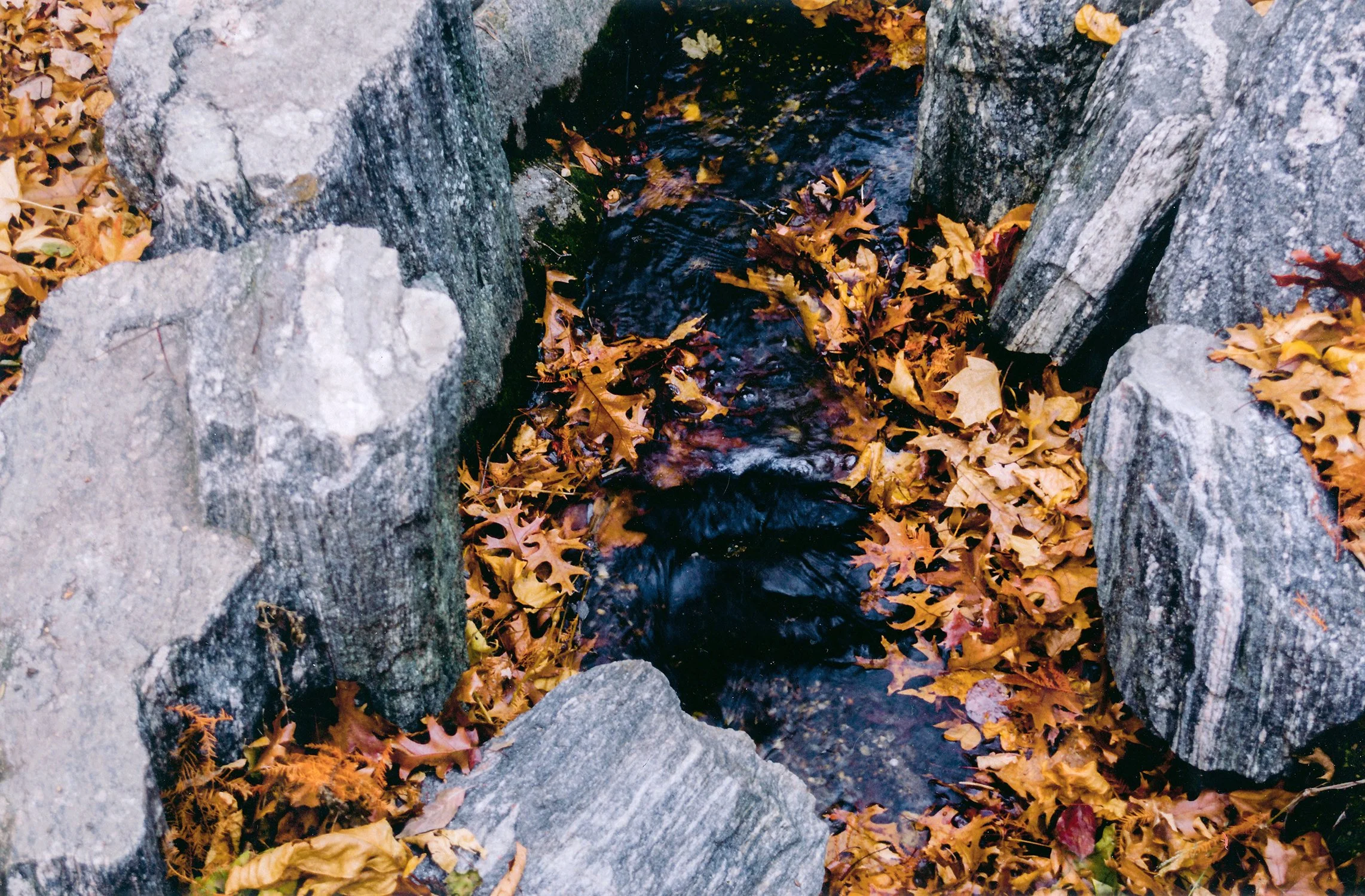 Photography — Kristina Dolan Art