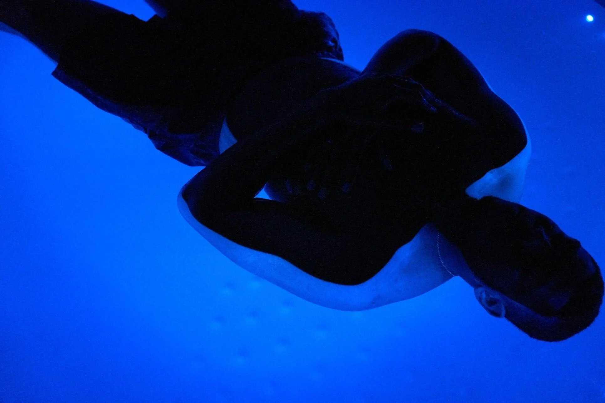 wellness centre london - yue float - float centre - biohacking