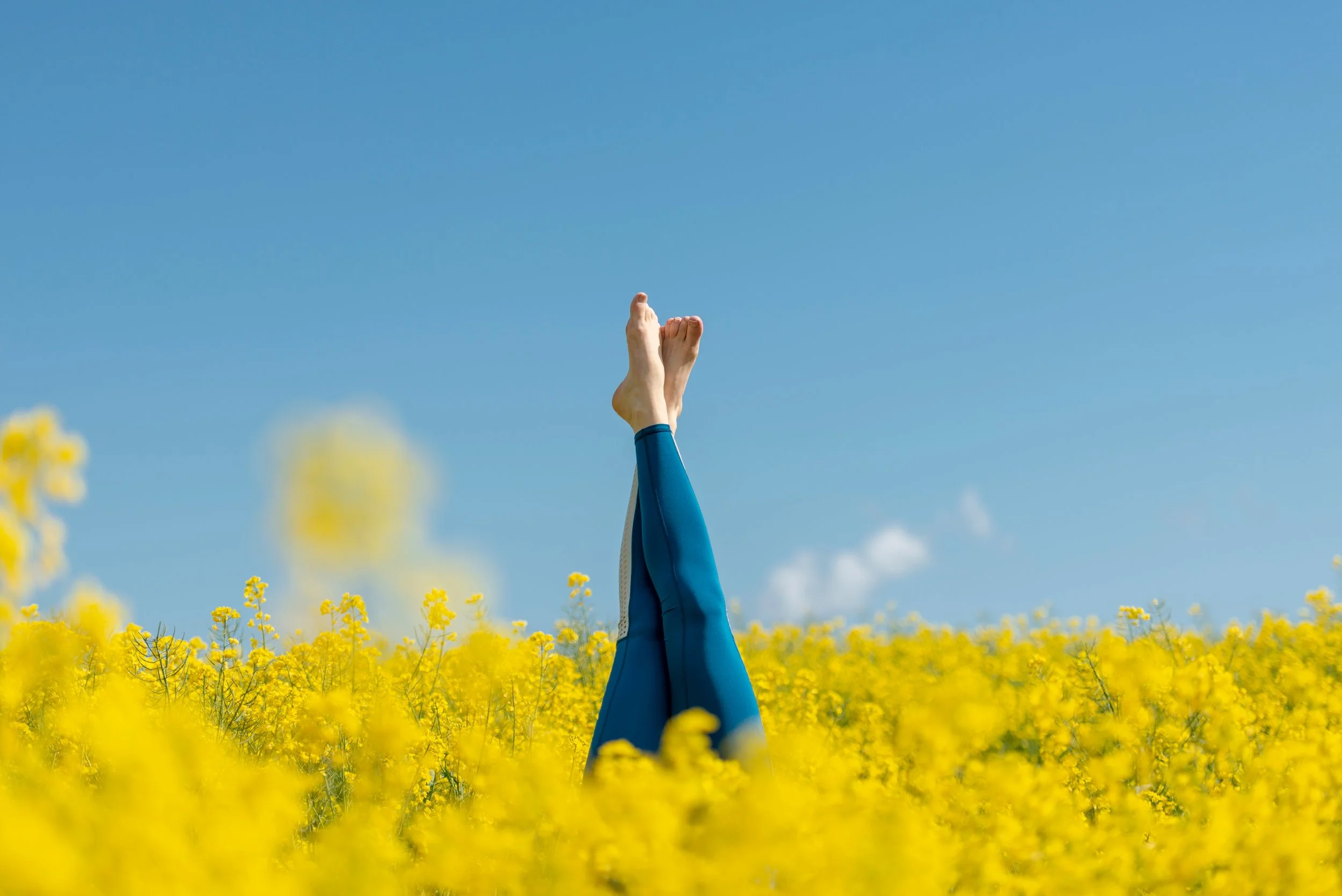 Award Winning Vein and Vascular Specialists