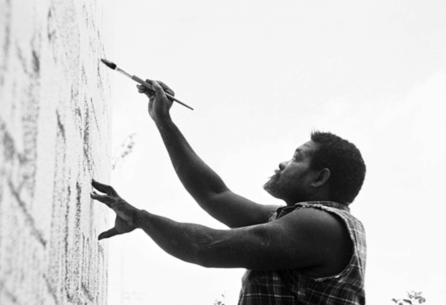 Media — PURVIS YOUNG FOUNDATION. ORG