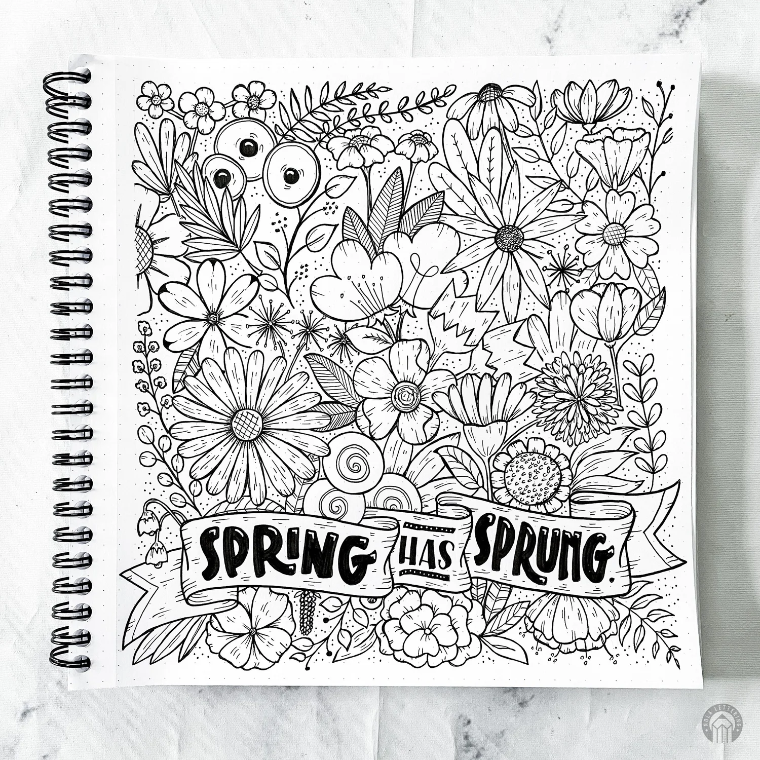 Spring has Sprung Coloring Page — NOLA Lettering