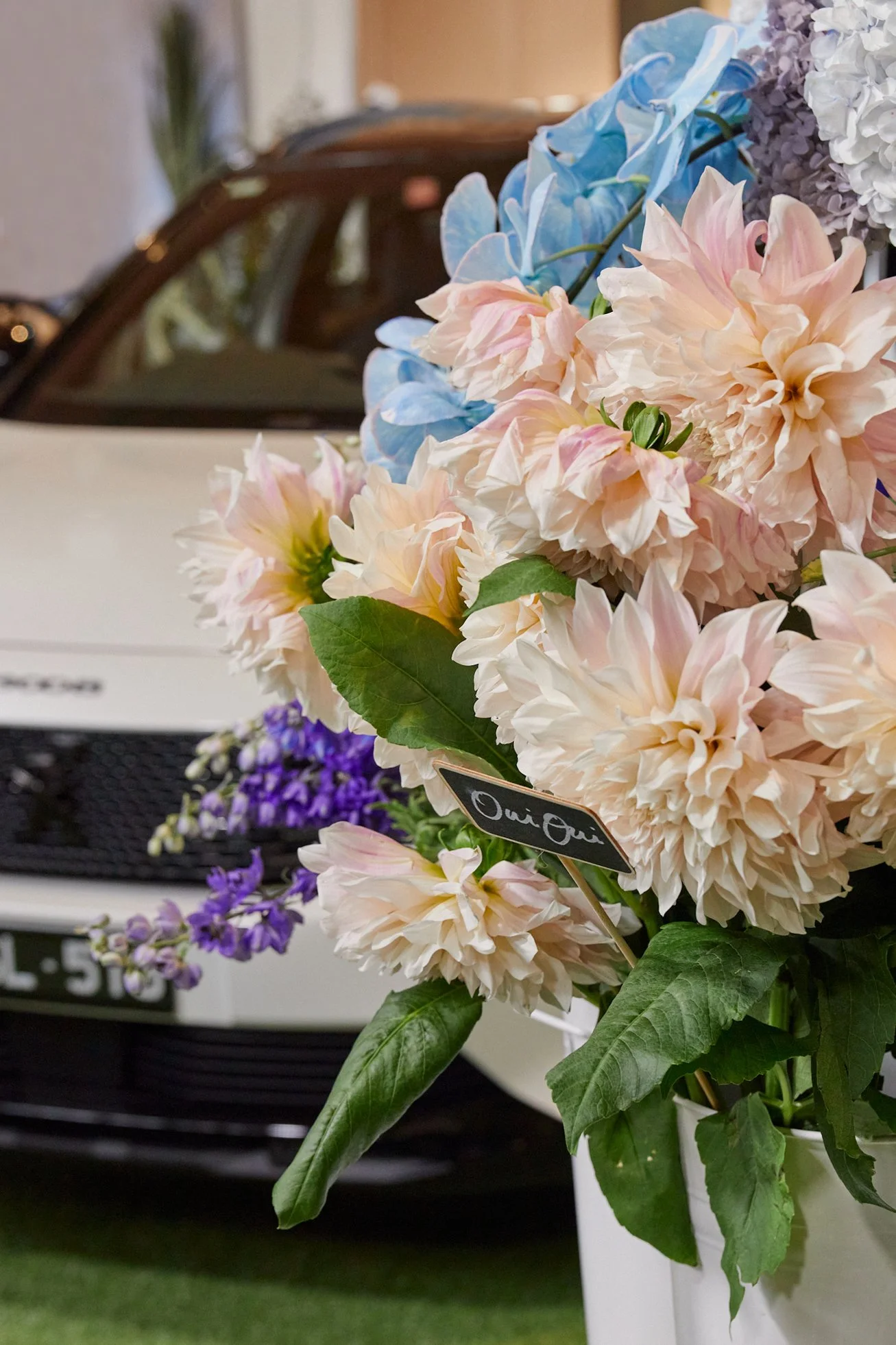 Party Plants & Flowers