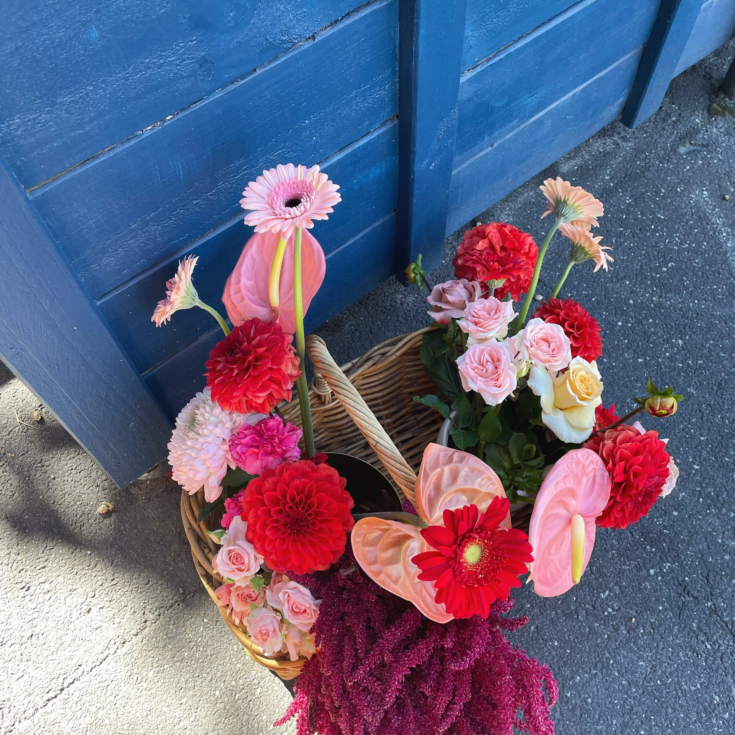 Party Plants & Flowers