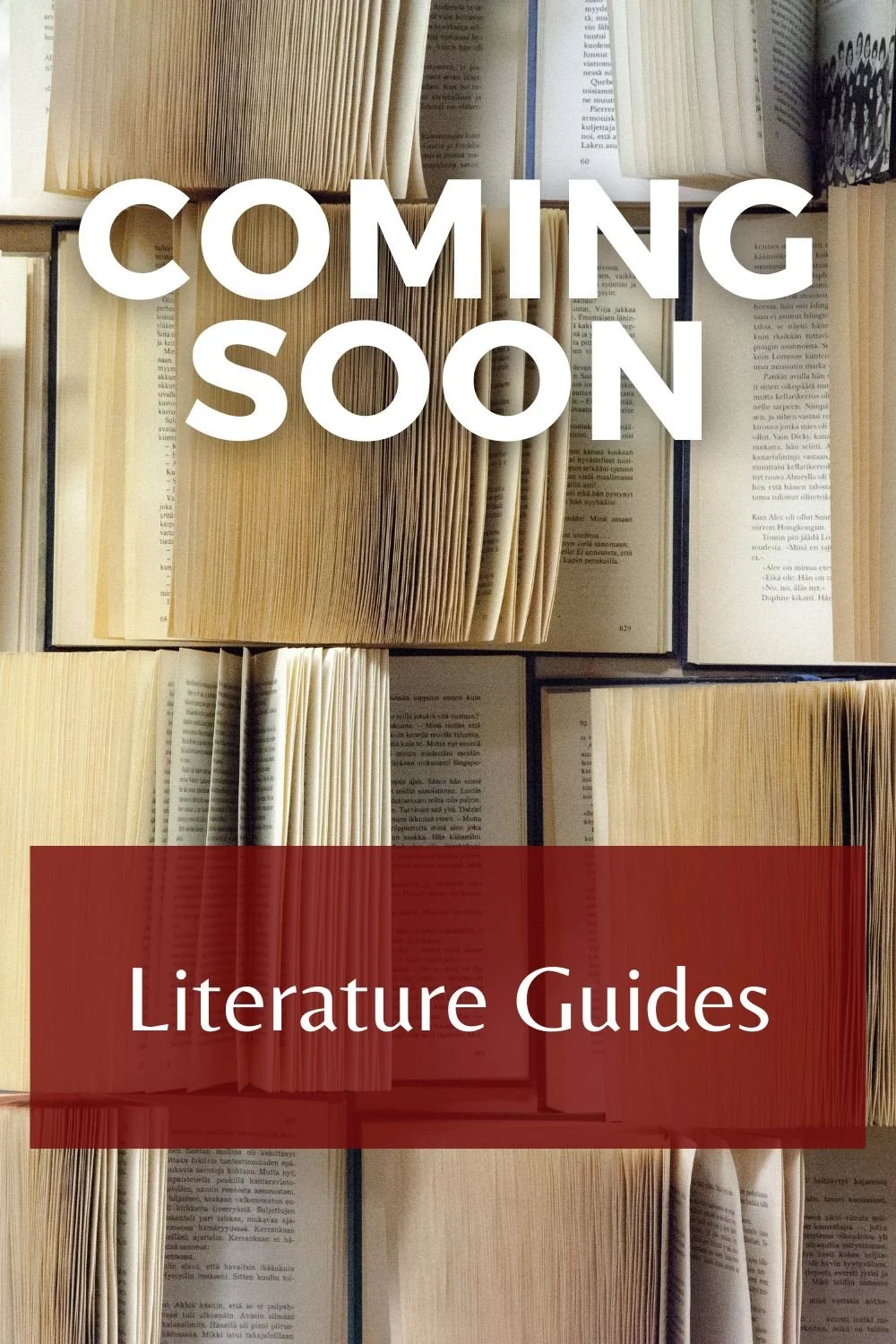Parts of a Plant - Spanish — Where'd You Learn That? Homeschool