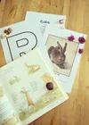 Alphabet Adventures (Part 1) — Where'd You Learn That? Homeschool