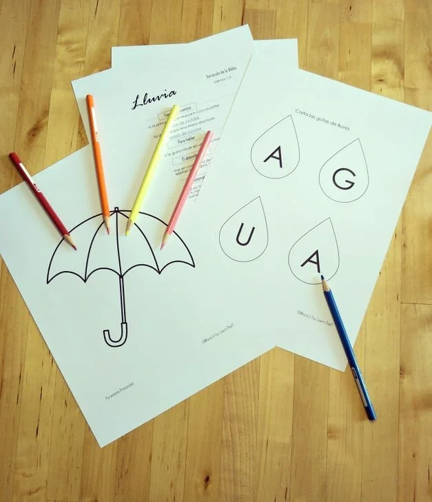 Parts of a Plant - Spanish — Where'd You Learn That? Homeschool