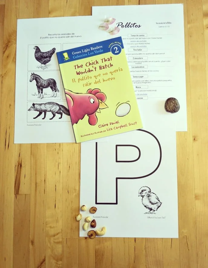 Parts of a Plant - Spanish — Where'd You Learn That? Homeschool