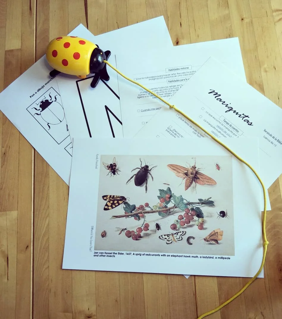 Puramente Preescolar - Insectos — Where'd You Learn That? Homeschool
