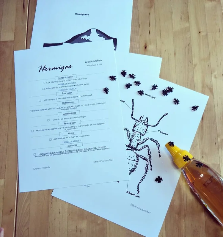 Parts of a Plant - Spanish — Where'd You Learn That? Homeschool