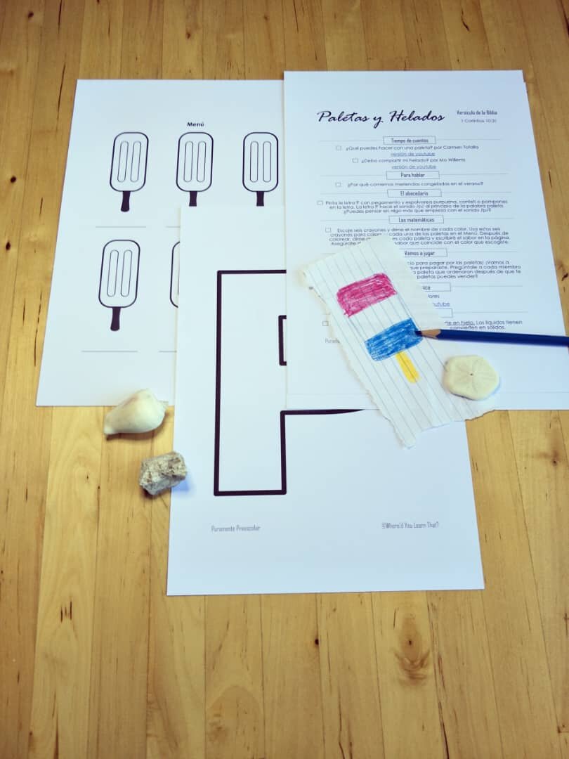 Parts of a Plant - Spanish — Where'd You Learn That? Homeschool