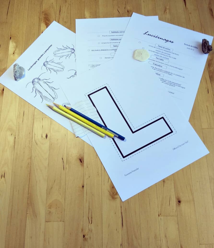 Parts of a Plant - Spanish — Where'd You Learn That? Homeschool