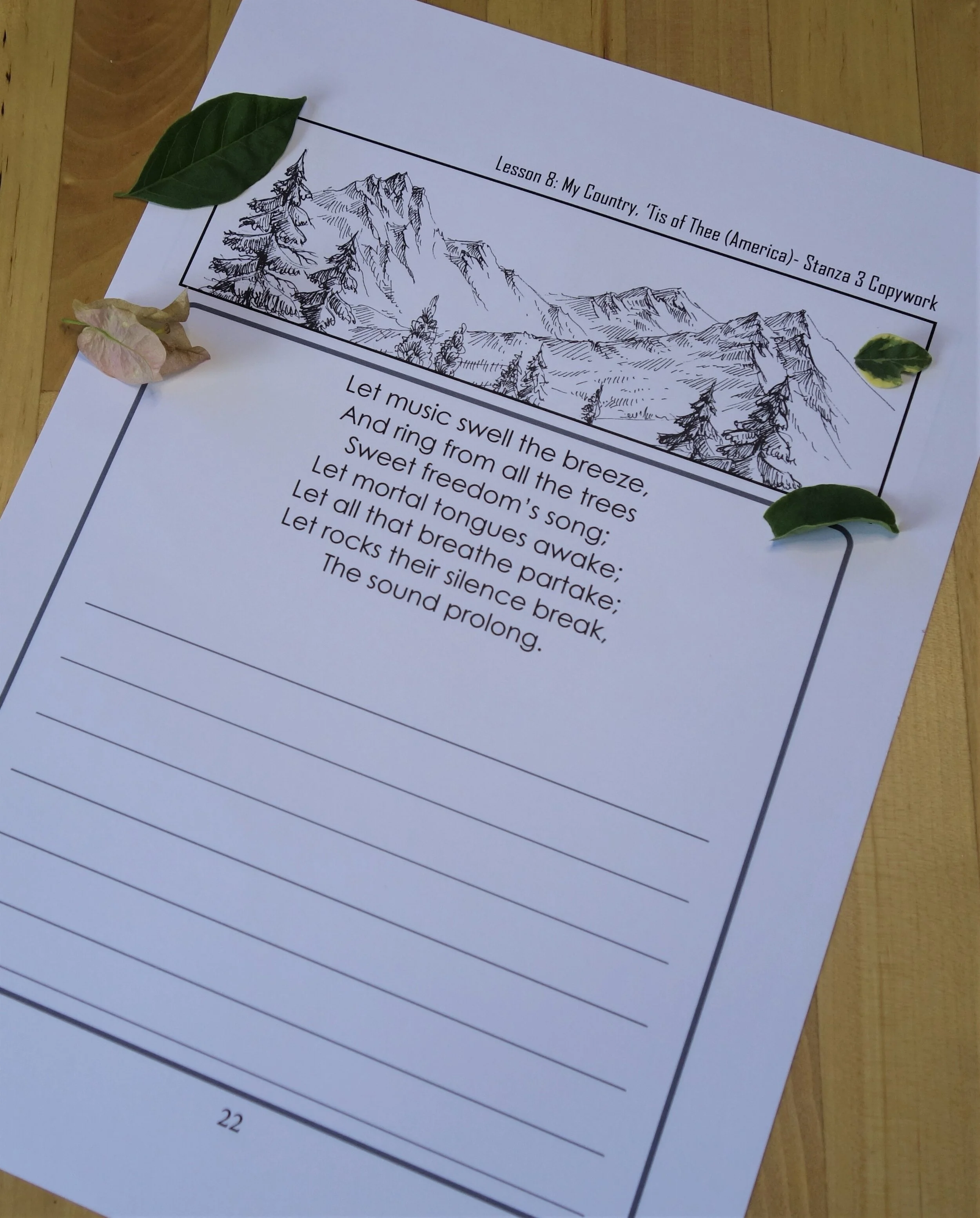 The Bible's Story: A Unit Study on the History of the Bible — Where'd ...