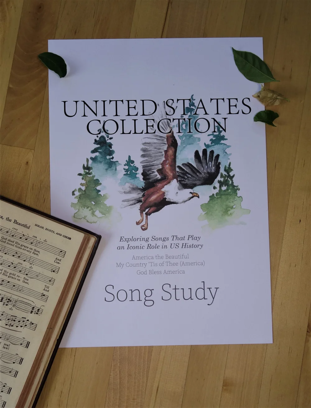 The Bible's Story: A Unit Study on the History of the Bible — Where'd ...