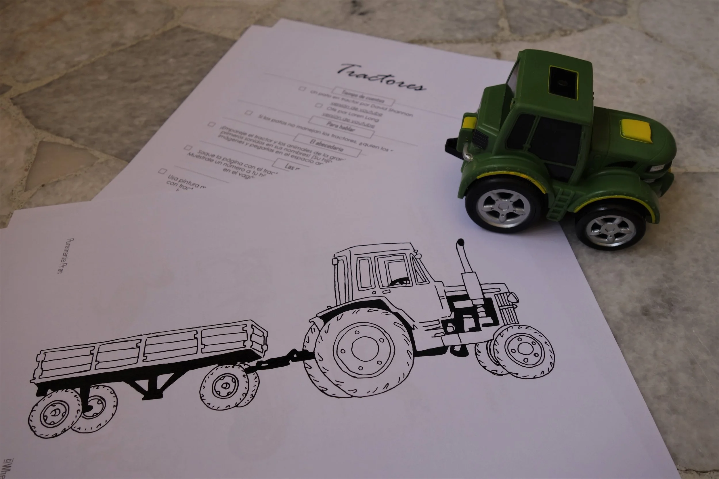 Parts of a Plant - Spanish — Where'd You Learn That? Homeschool