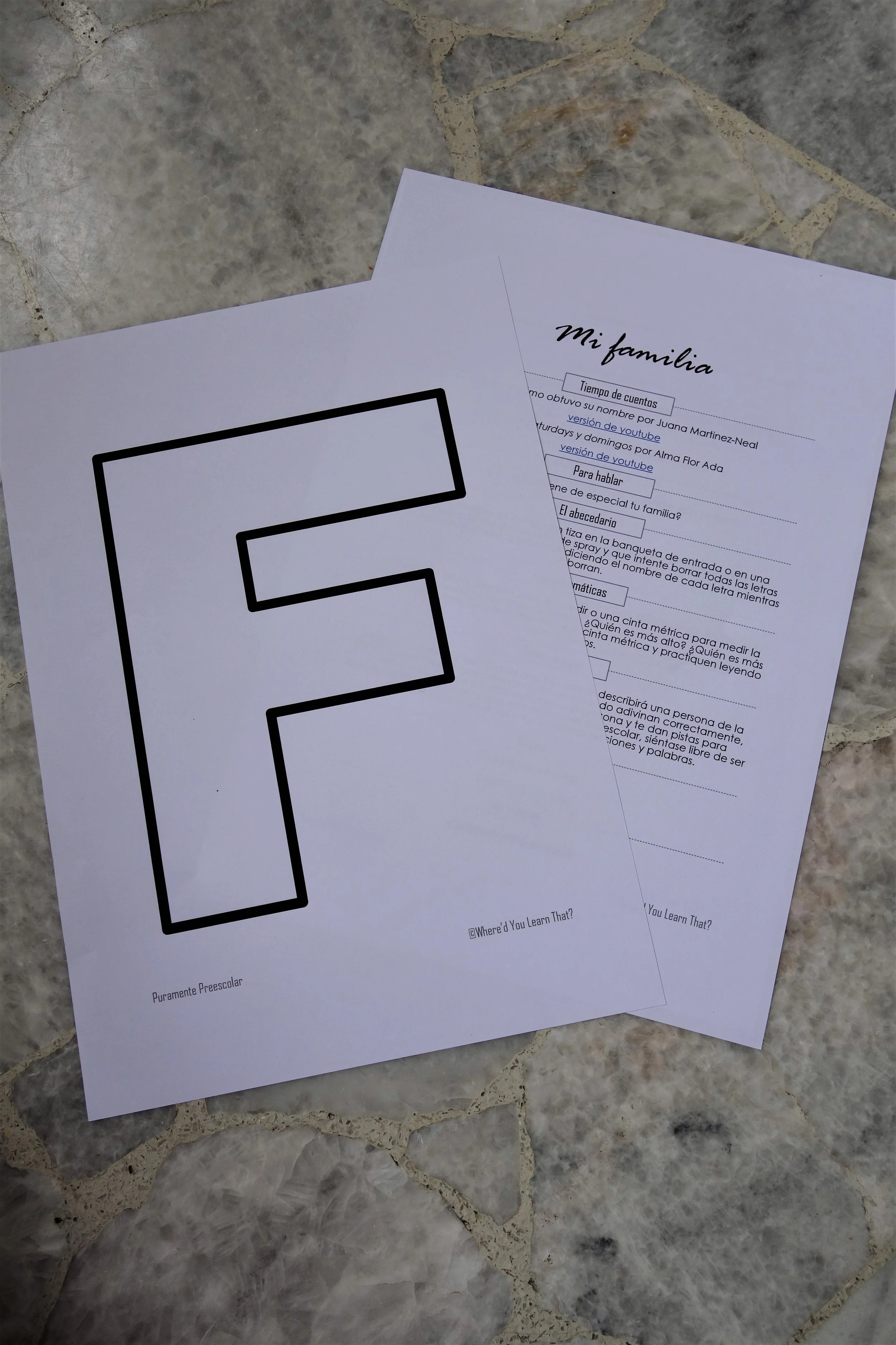 Parts of a Plant - Spanish — Where'd You Learn That? Homeschool