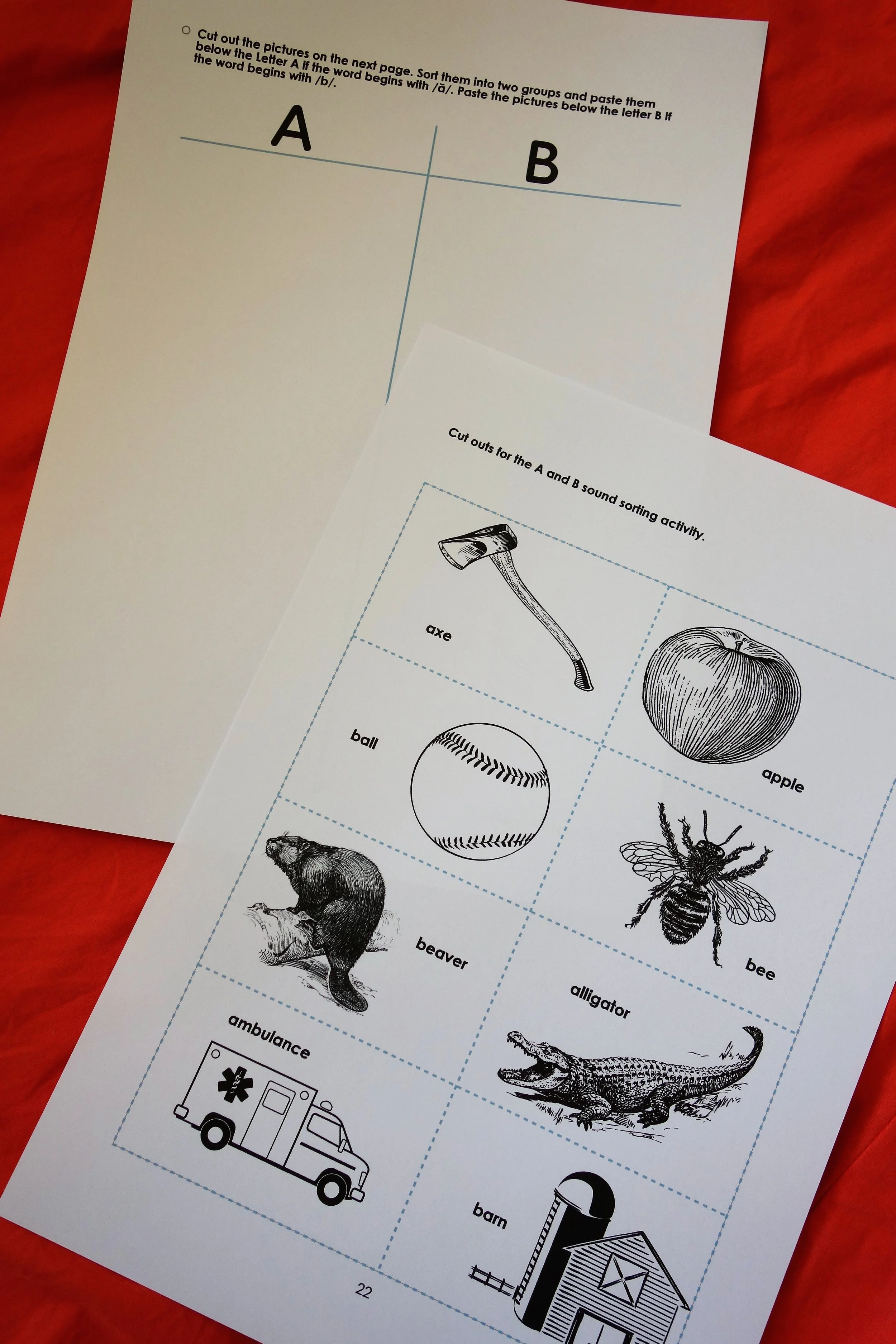 Parts of a Plant - English — Where'd You Learn That? Homeschool