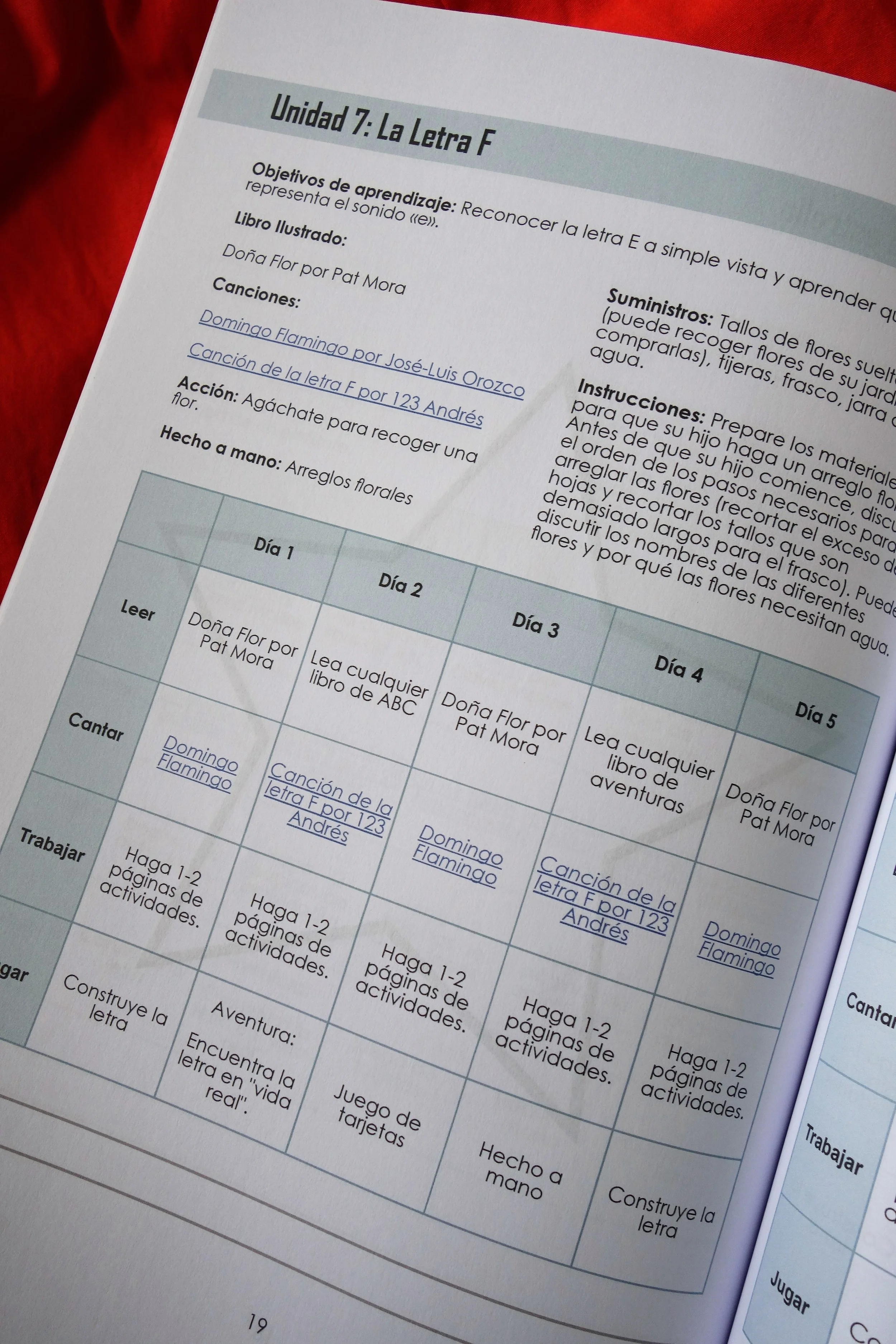 Parts of a Plant - Spanish — Where'd You Learn That? Homeschool