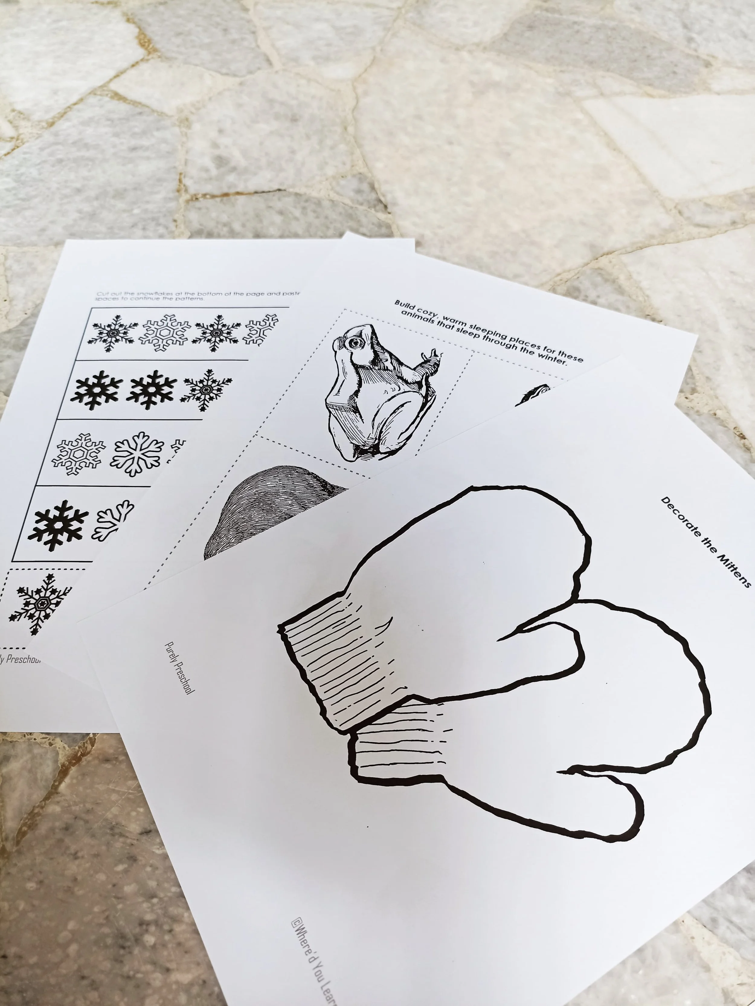50 States and Capitals Flashcards — Where'd You Learn That? Homeschool