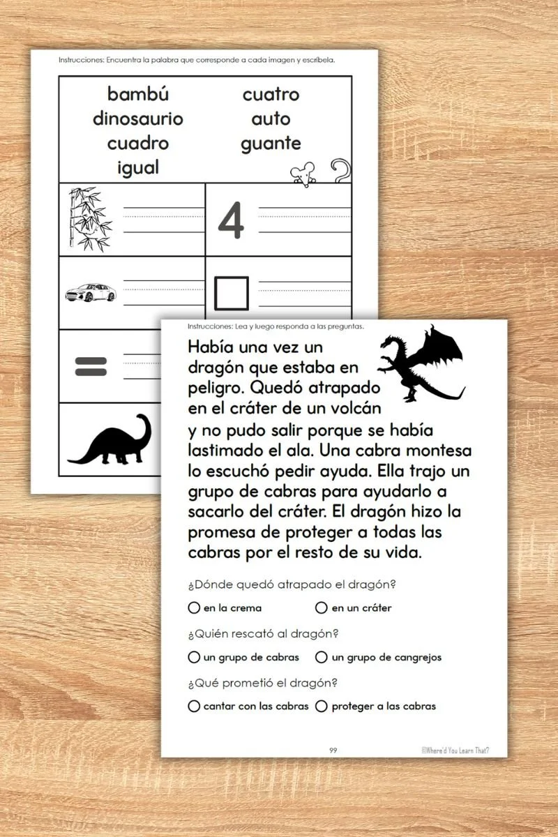 Parts of a Plant - Spanish — Where'd You Learn That? Homeschool