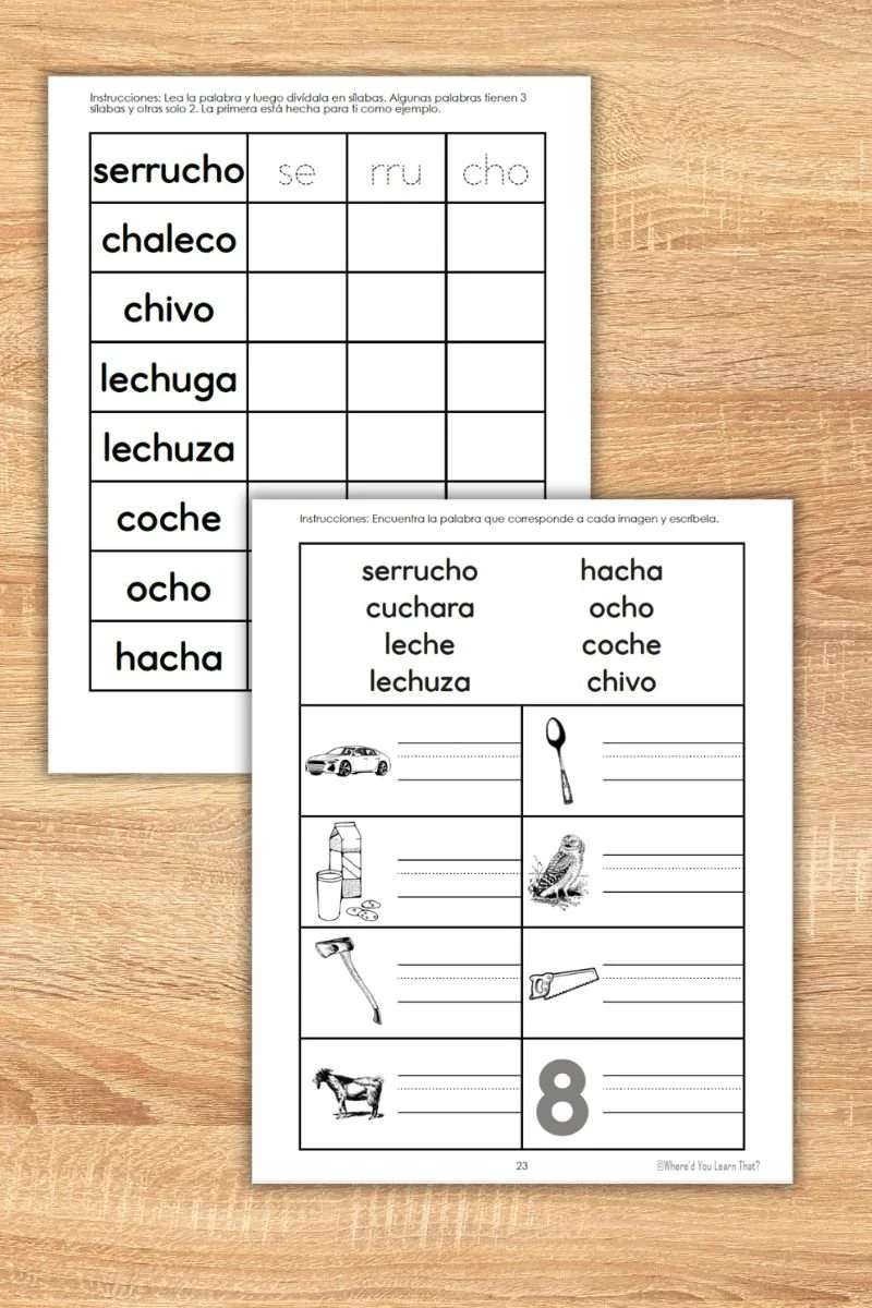 Parts of a Plant - Spanish — Where'd You Learn That? Homeschool