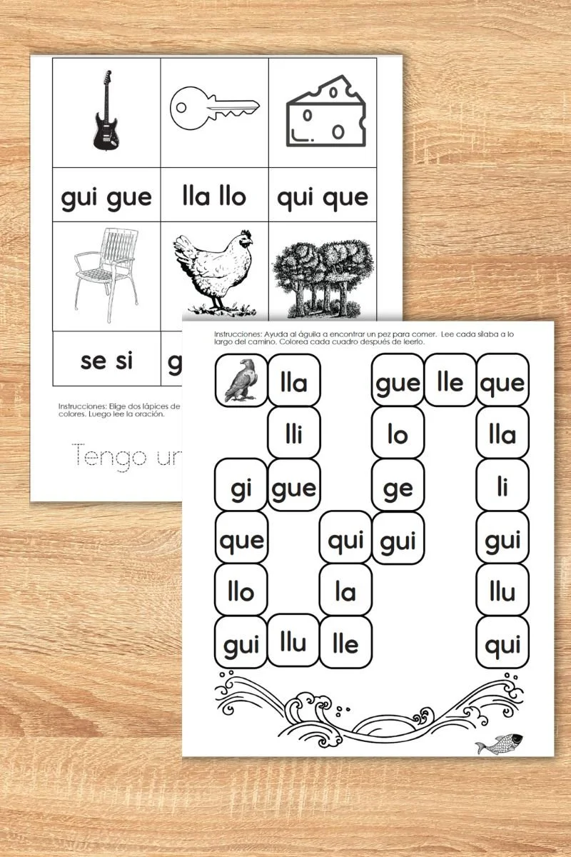 Parts of a Plant - Spanish — Where'd You Learn That? Homeschool