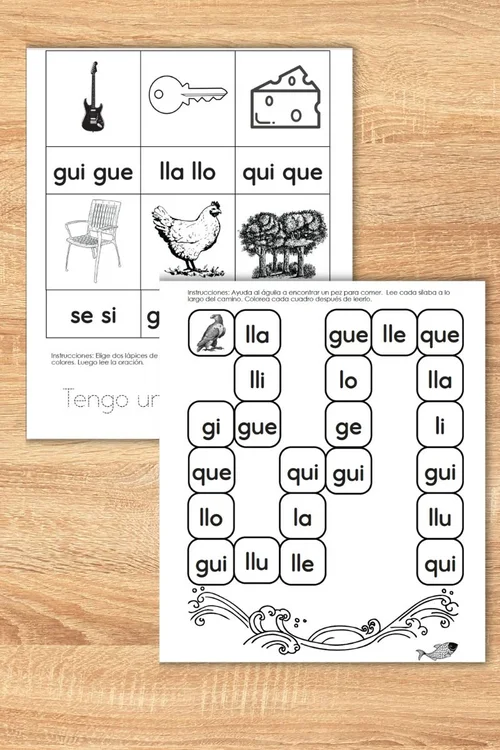 Parts of a Plant - Spanish — Where'd You Learn That? Homeschool